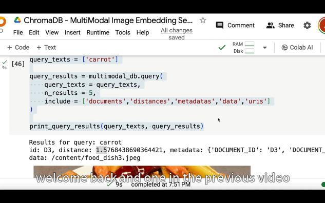 精通掌握ChromaDB向量数据库视频教程
