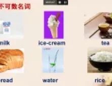 微课 可数名词和不可数名词