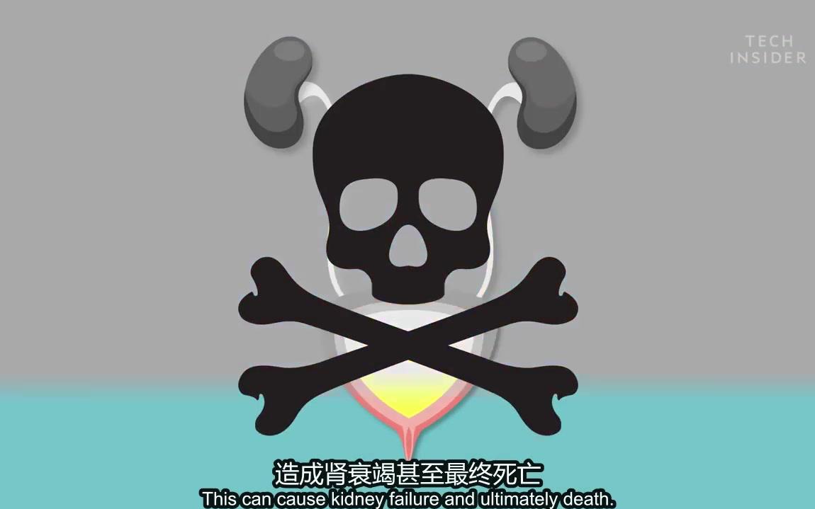 【中英双语字幕】憋尿太久的后果