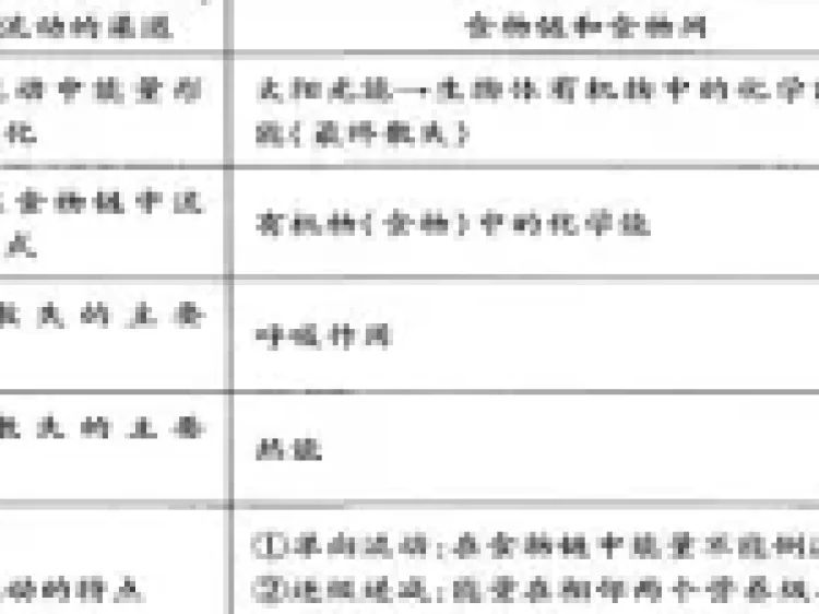 (汉水丑生一轮复习)生态系统的能量流动
