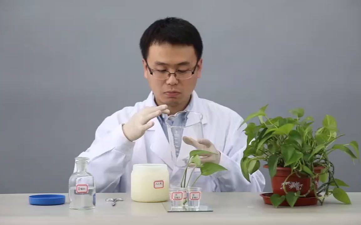 14.探究二氧化碳对光合作用速率的影响实验视频