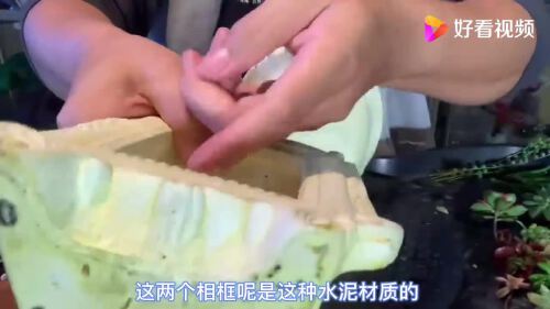 多肉植物相框,如何把植物立体种植不脱落?让生活充满新鲜感