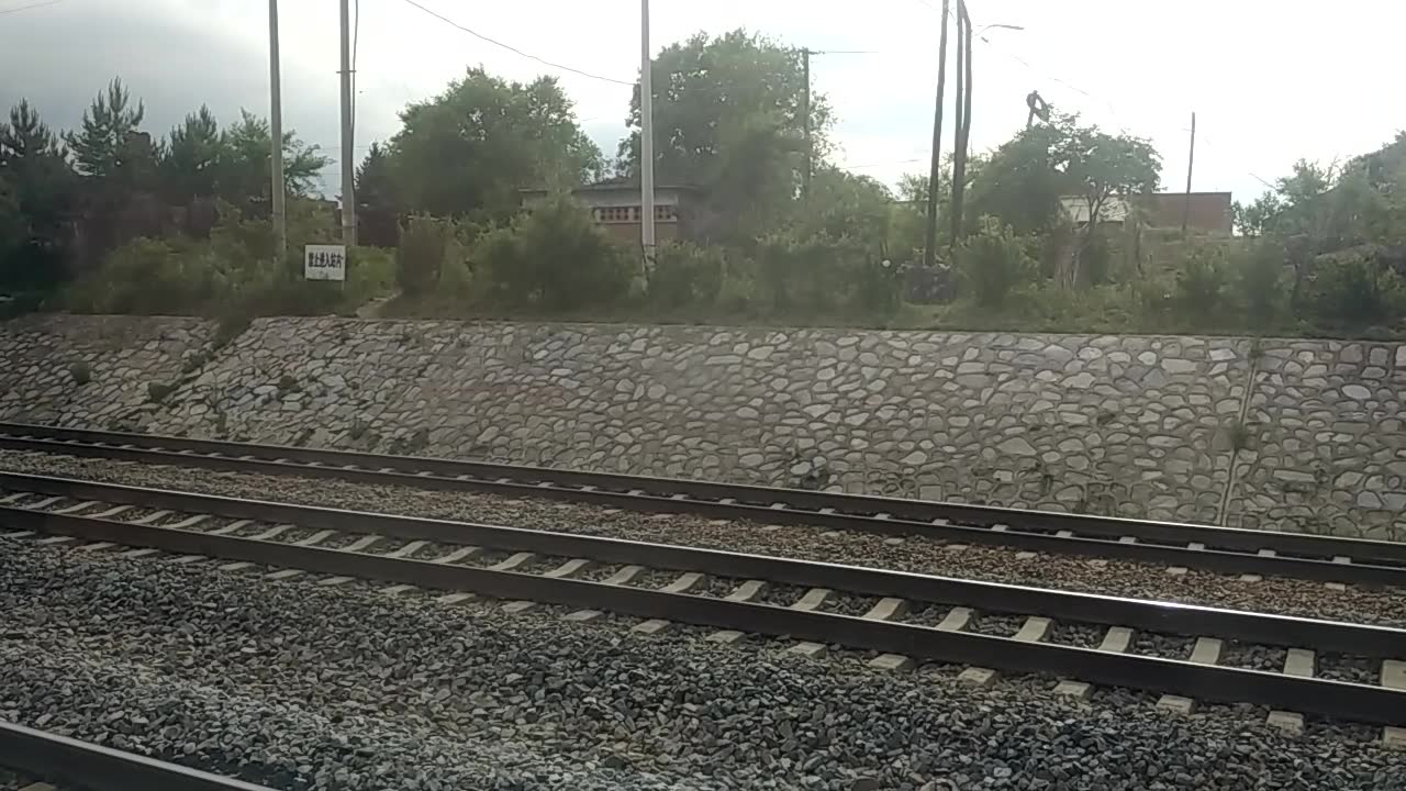 K1010次(鹤岗-大连北)列车通过新华站