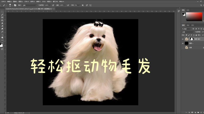 PS干货,秒抠动物复杂毛发,这方法真的太好用了