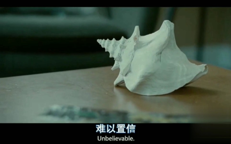 永无止境:在我家里 难以置信
