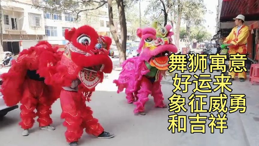 今日出门遇到舞狮子表演,跟着舞狮队走,专业的舞狮队就是不一样
