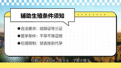 国内试管婴儿合法吗?揭秘成功率与费用,圆你父母梦!