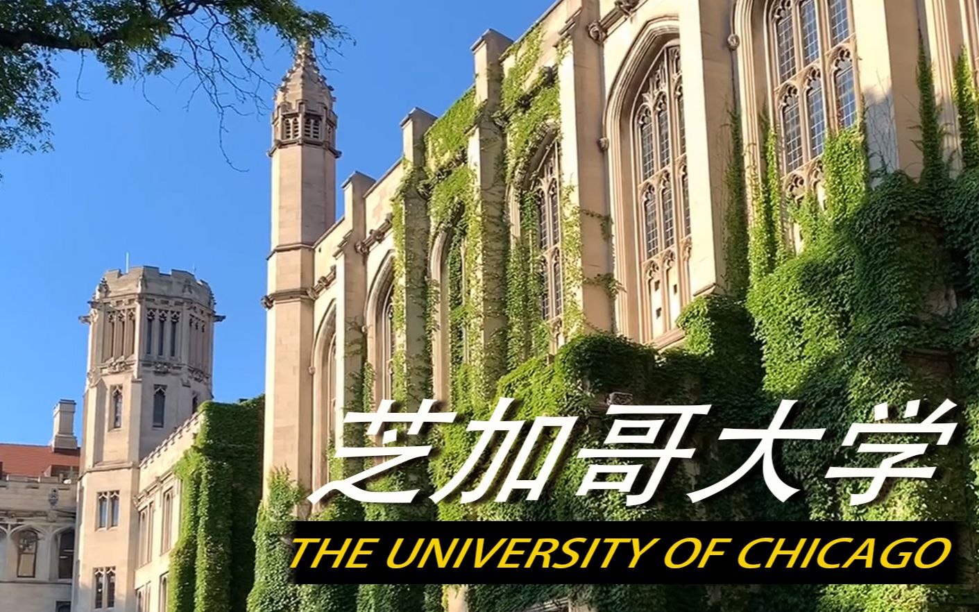 美国芝加哥旅游|芝加哥大学
