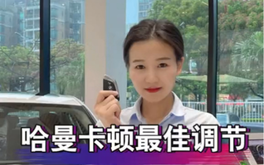 哈曼卡顿音响效果最佳调节效果,无损音质一般,真的让耳朵沉浸