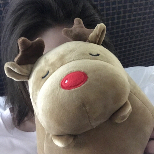 朕的歪头小麋鹿 