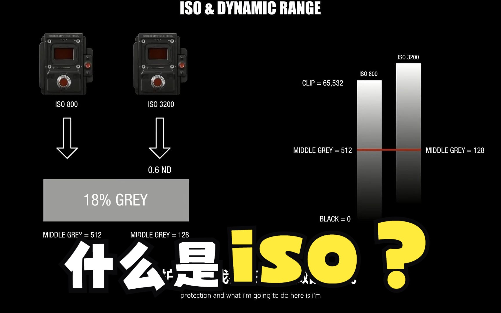 【Red官方教程】什么是iso?iso如何影响动态范围?
