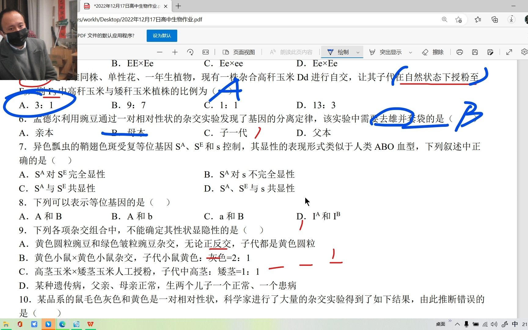 高中生物-基因分离定律-新课作业讲解