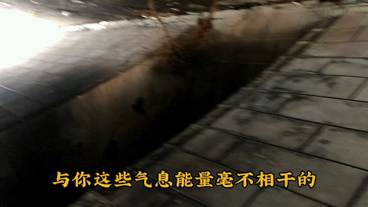 【分清社会角色】:按社会角色去对待关系中的每种人★区别对待!