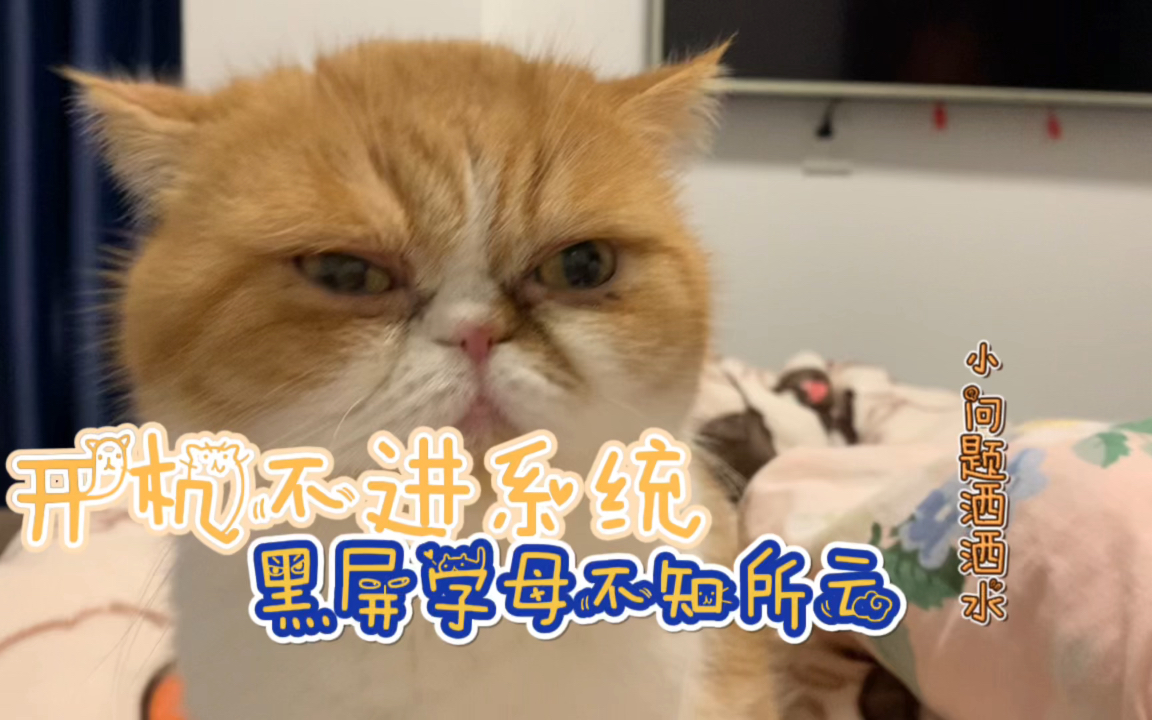 电脑开机不进系统黑屏出现一些字母,好像是找不到启动设备,怎么办?