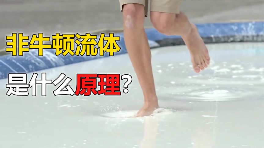 “非牛顿流体”是什么原理?能轻松在水面走?是什么原理?