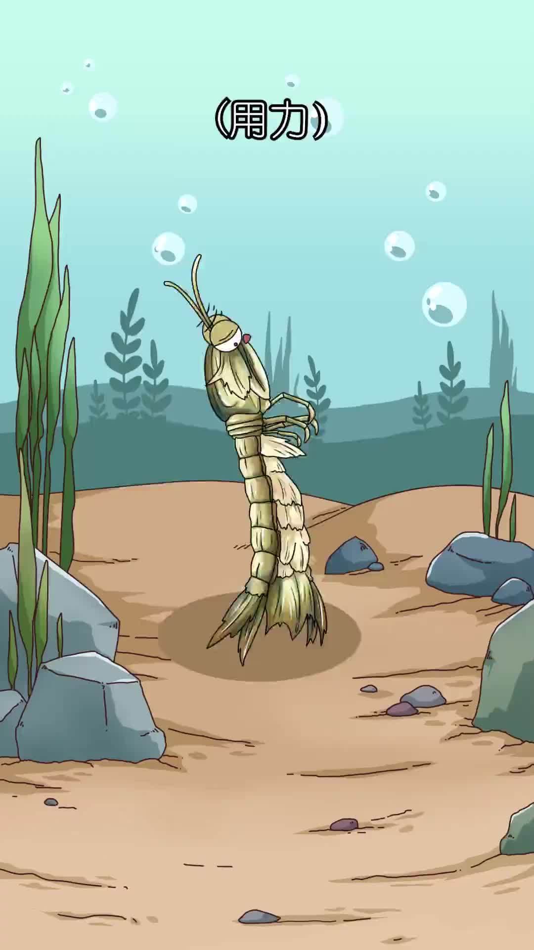 动漫:见过皮皮虾下腰吗?