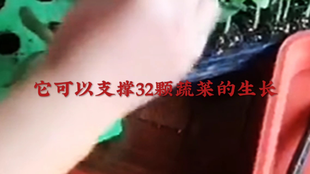 种植有机蔬菜方法