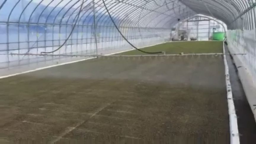 日本先进的大棚自动喷淋系统,大棚种植全面数据化和标准化,真不错