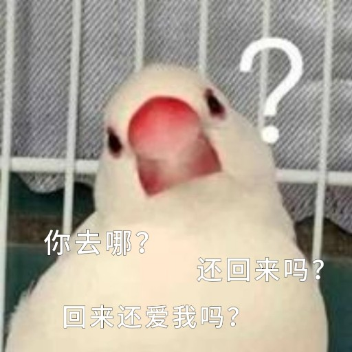 小同学不是老同学 