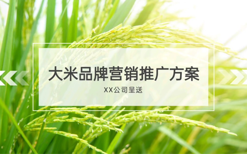 农业区域公用品牌大米品牌营销推广方案【农产品】【品牌定位】