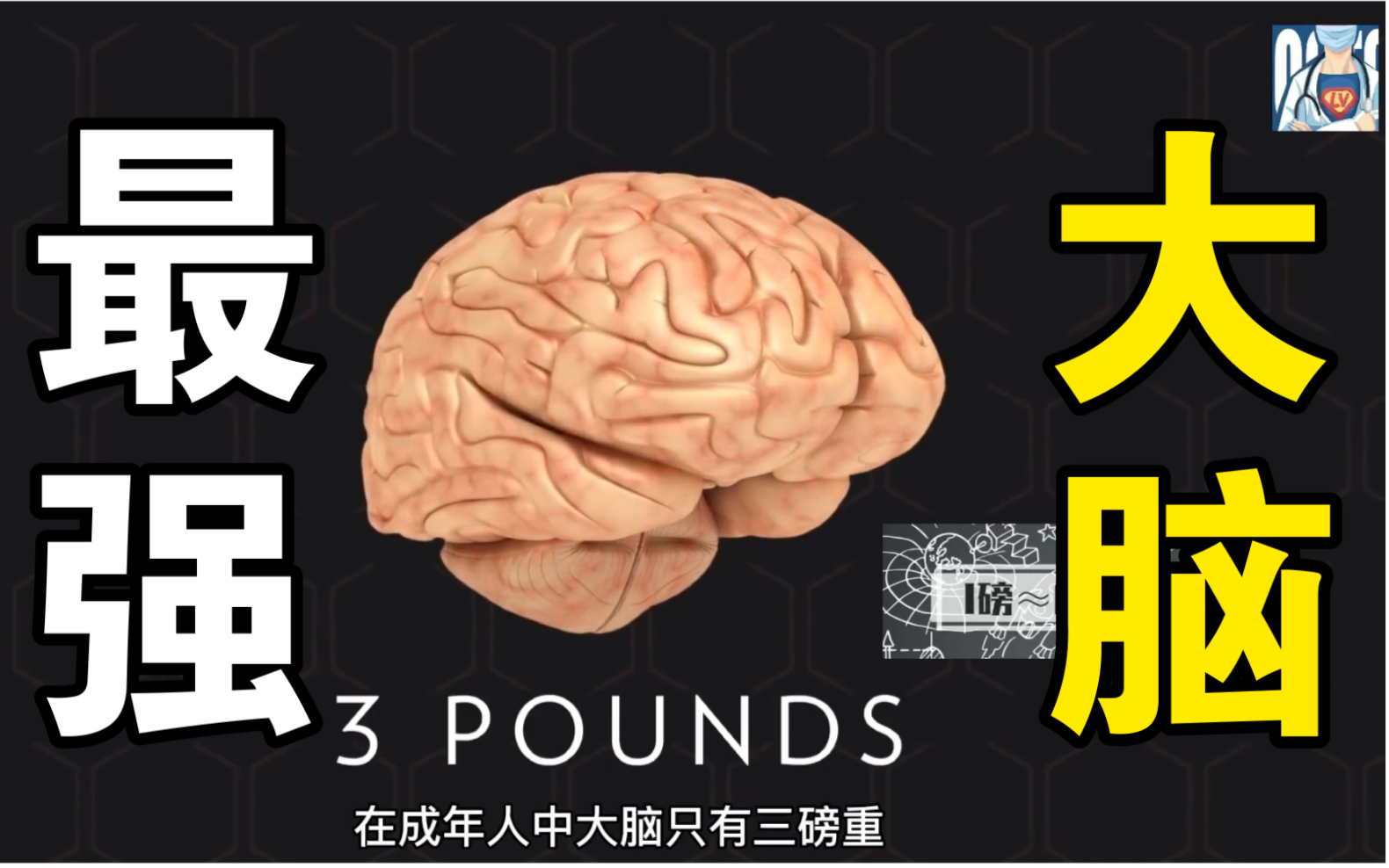 人体科普——神奇的大脑!