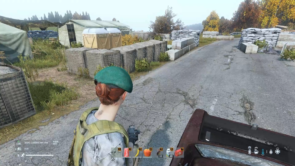 DayZ1.25超级模组版单机