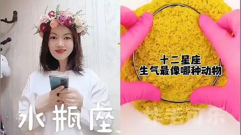 12星座生气最像哪种动物