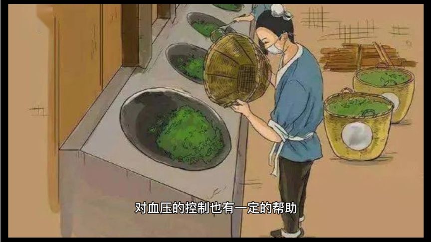 普洱生茶功效与作用:清理肠道、调节血脂、辅助减肥