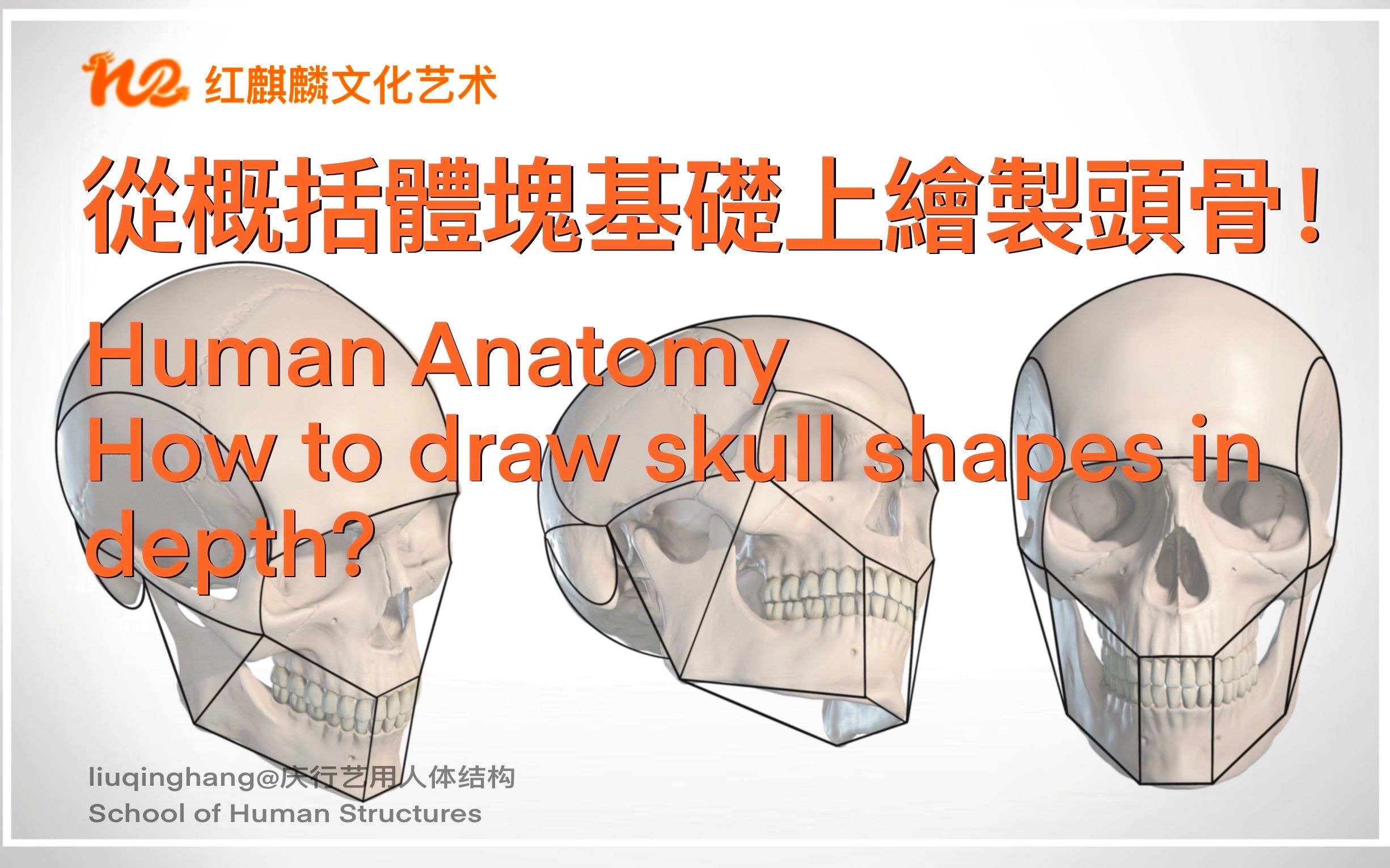 ...部形态结构】懂得体块结构后如何应用?本节课在头骨体块的基础上,...