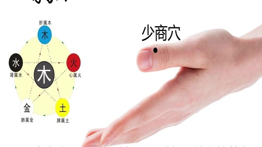 脉络-中医艾灸针灸取穴 少商穴