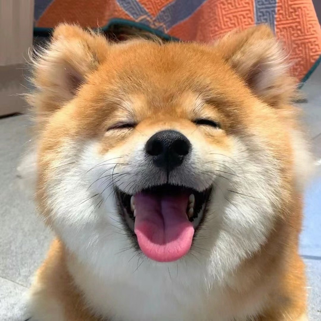 美式不苦诶 