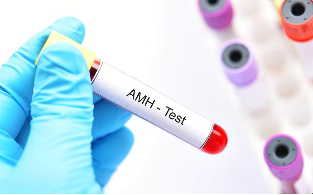 越年轻AMH值越高吗?抗缪勒氏管激素如何评估卵巢储备功能?