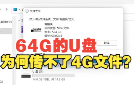 为什么大于4G的文件,无法传输到U盘?【绿联】