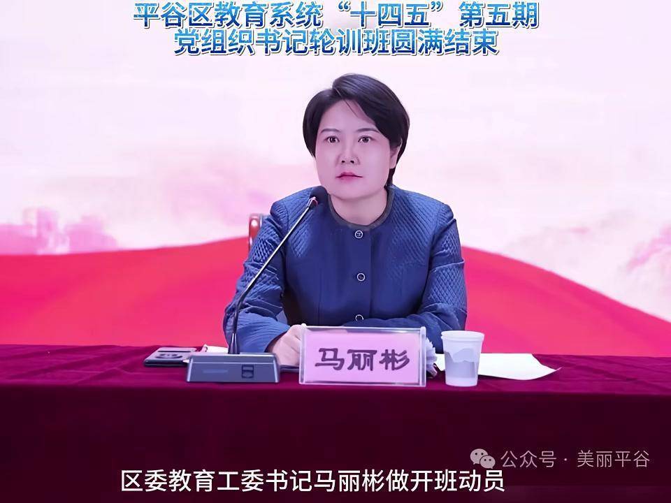 ...马丽彬本次轮训为平谷区教育系统党组织书记搭建了学理论、强技能...