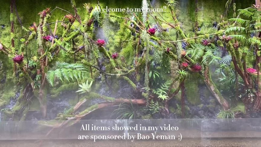 7天打造一个雨林缸。惠州最大生态缸之一。#雨林缸造景 #空间设计