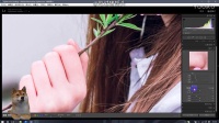 【史上最精悍Lr教程】十分钟 零基础学会专业摄影调色软件 lightroom