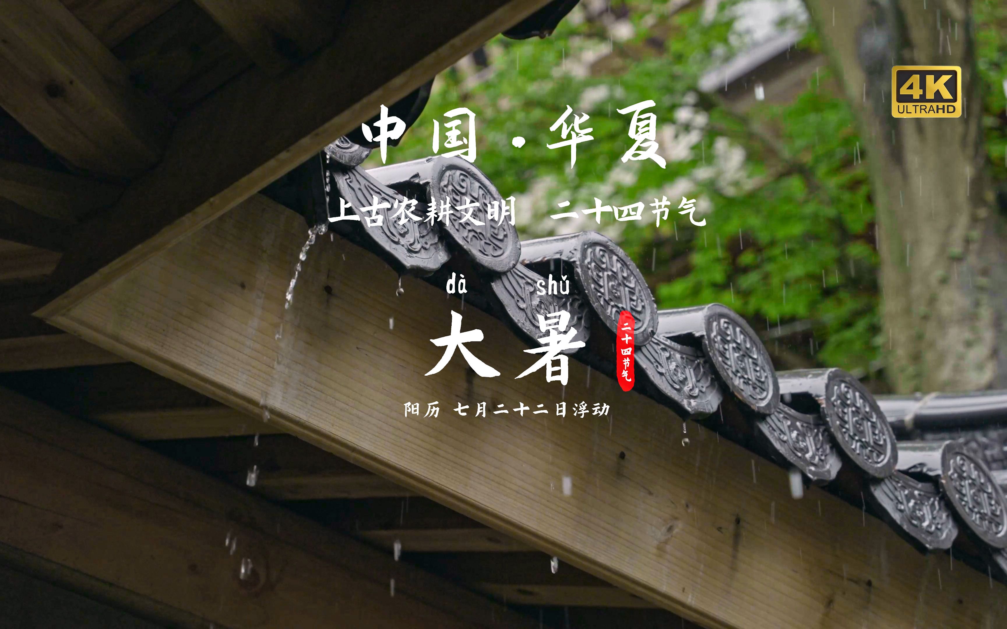 【4K】大暑 · 我把24节气拍成了“连续剧”