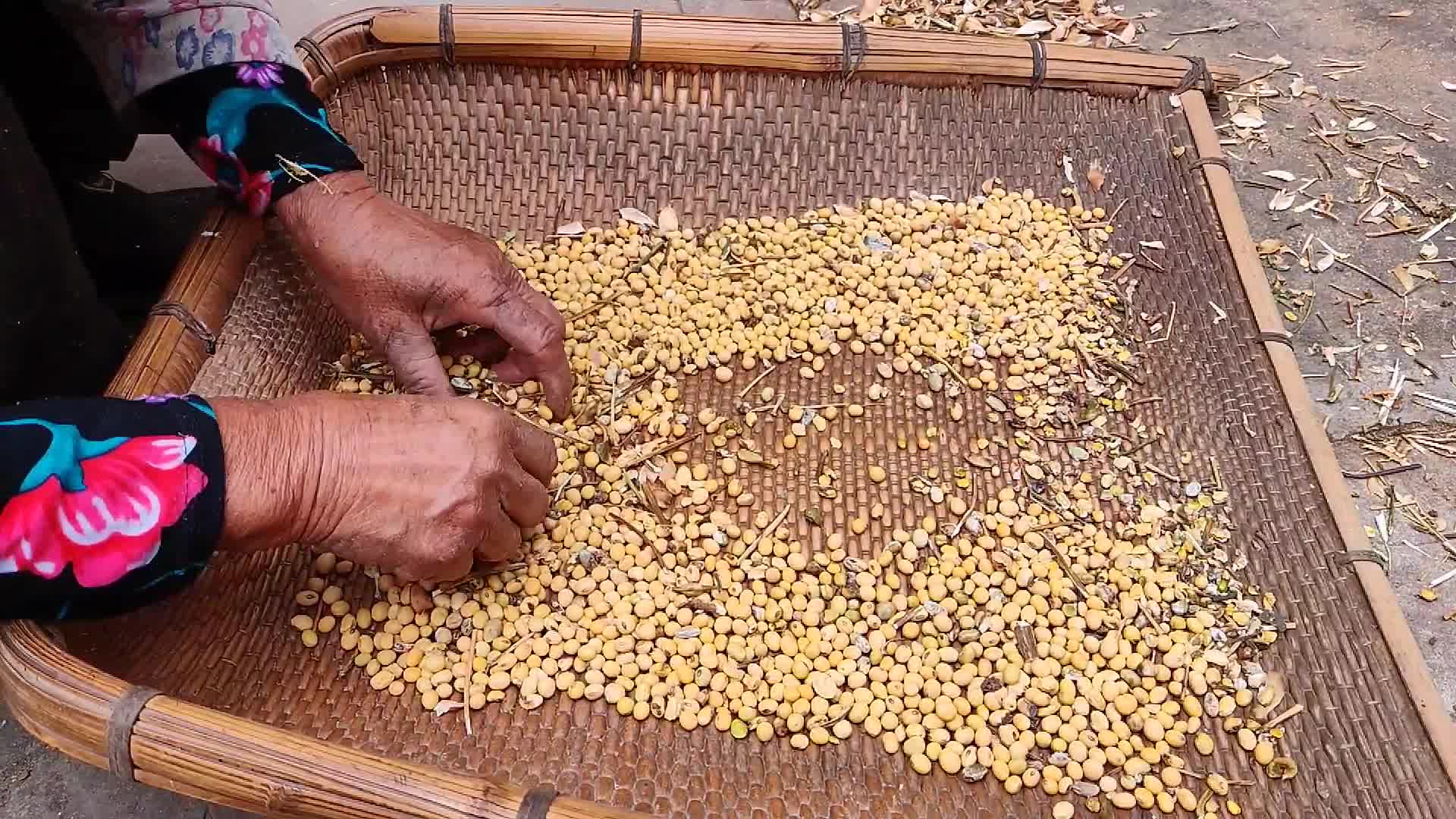 非物质文化遗产之《如何正确地使用簸箕》