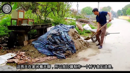 制作树干鱼缸造景,枯木逢春创意设计,真的很好看,你觉得呢?