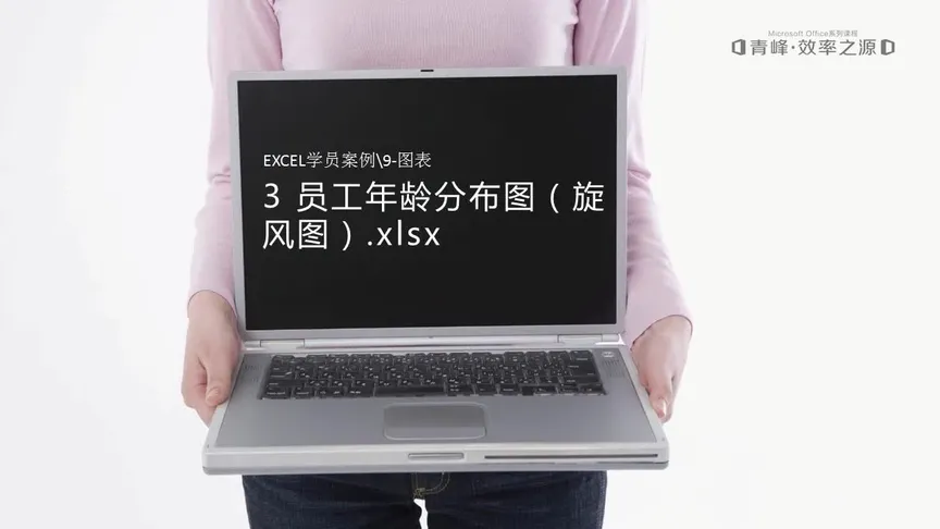 9-图表-3 员工年龄分布图(旋风图) 学浪计划