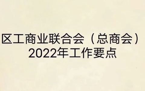 写作技巧区工商业联合会(总商会)2022年工作要点 (1) - 副本轻松剪辑