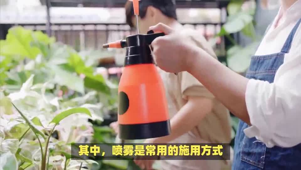矮壮素的使用方法和用量