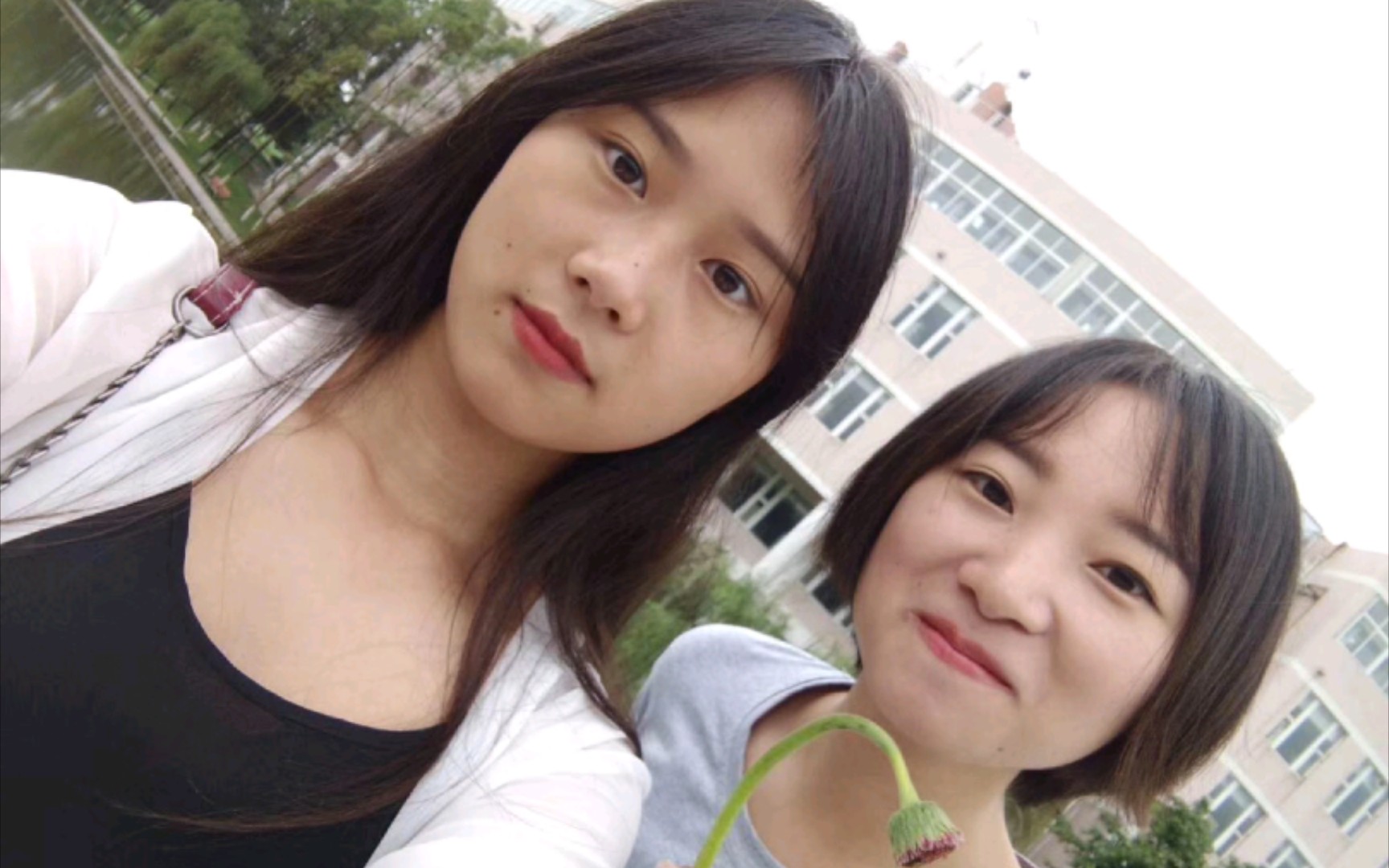 微信QQ收藏夹原来有这么多回忆