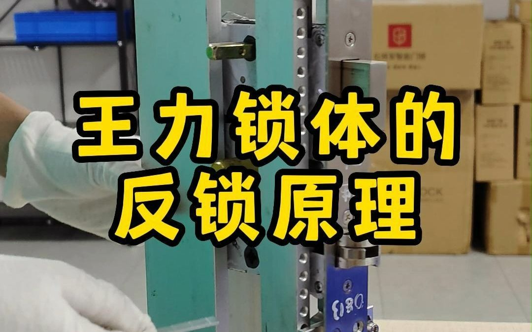 【石将军智能锁】王力锁体反锁原理