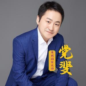 象棋大师党斐