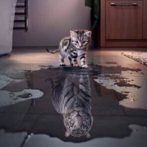 理性思考的男孩 