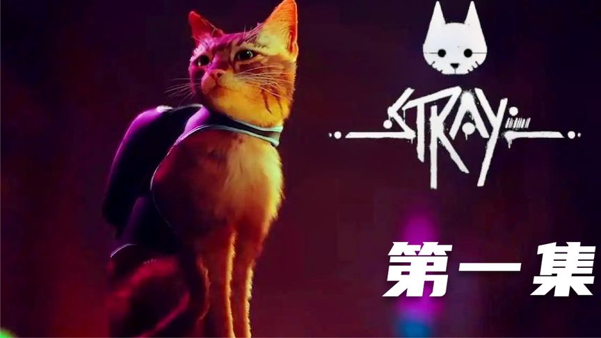 猫咪模拟器:久等了各位,一定要看完哦