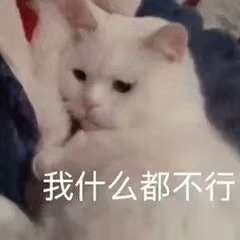 啊琳啊啊啊 