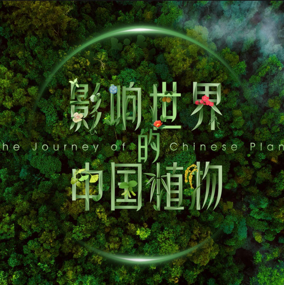 木子合成影视文化传媒 