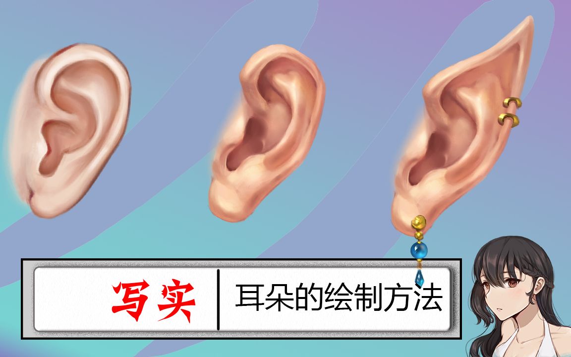 《绘画画》如何画好一个写实的耳朵/耳朵的画法